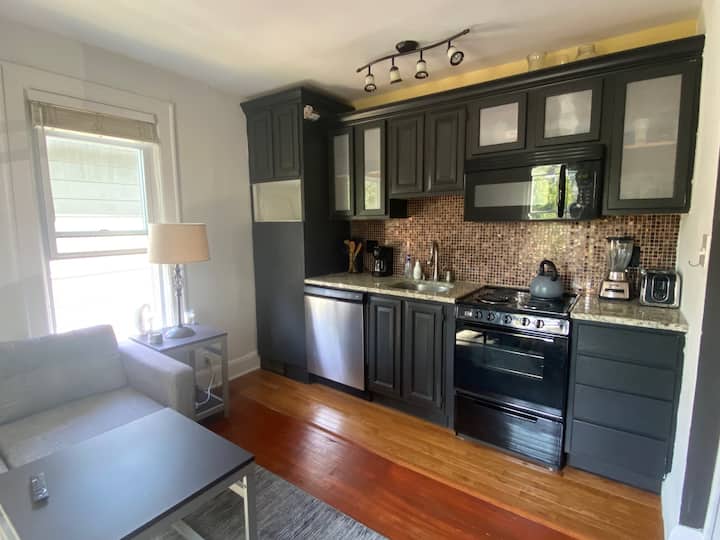 Llama Room - Downtown South Bend (Late Check-out) - South Bend, IN