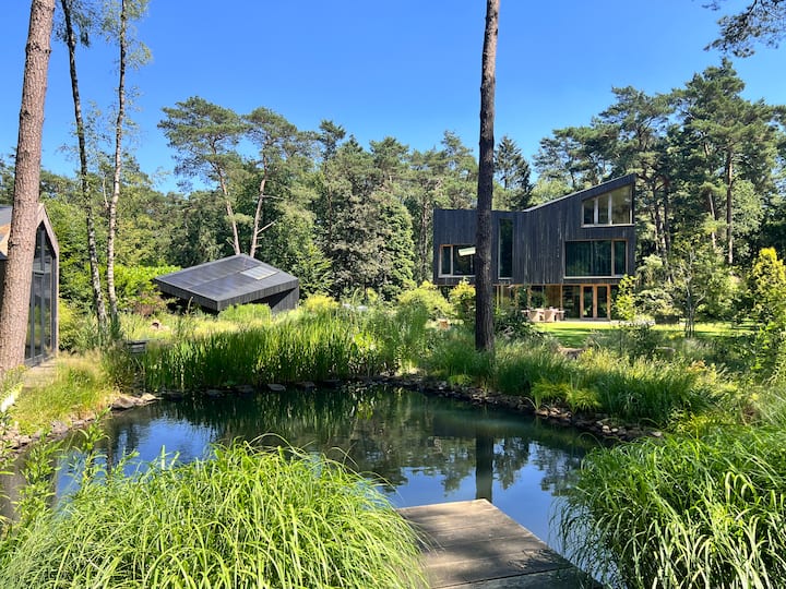 Forest Dream - Hilversum