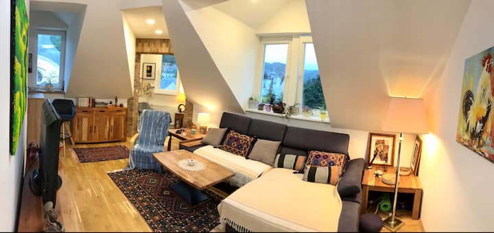 Large Attic Apartment With View - Karlovy Vary