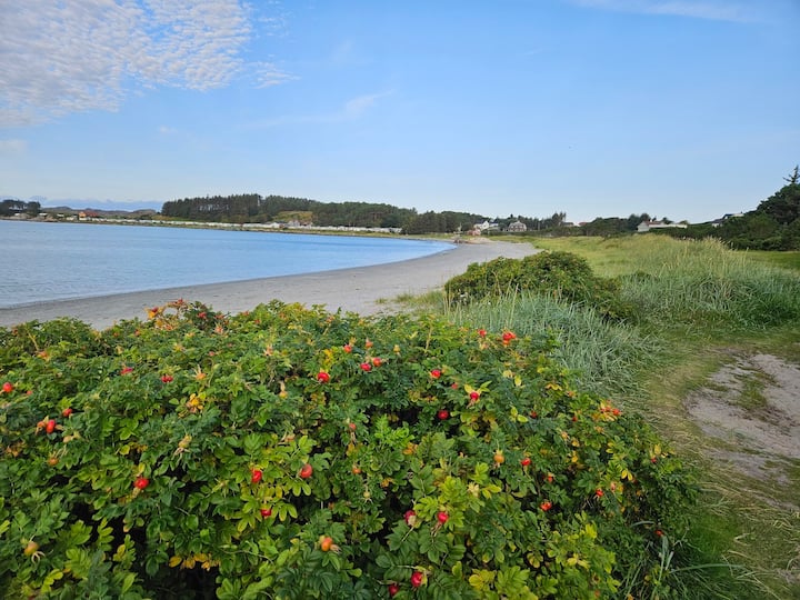 Tiny House By The Beach - Sokndal