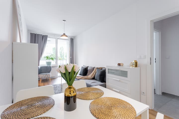 Central Apartments Warsaw - 3 Bedrooms -15 People - Varsovie