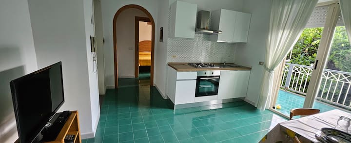 Limonero House. Affitto A Breve Termine - Vico Equense