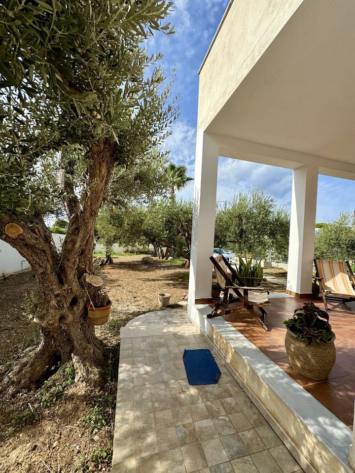 Gli Ulivi Di Cala Rossa - Terrasini