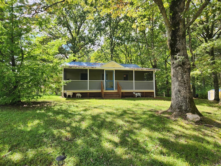 Cozy Cottage-blue Ridge Parkway - Galax, VA