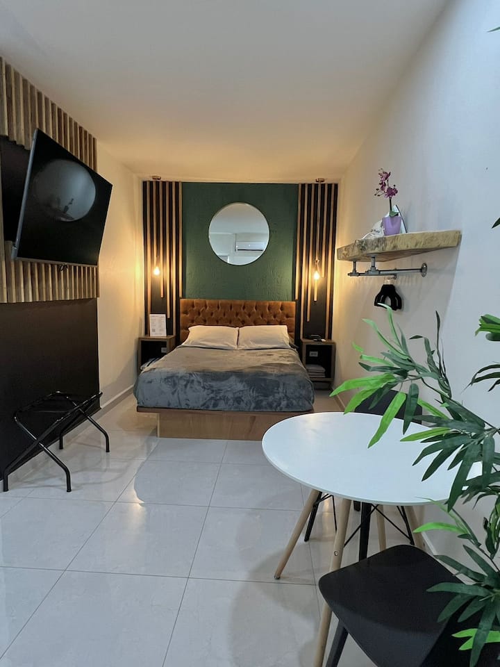 Apt # 5 - Studio With Queen Bed - Aruba