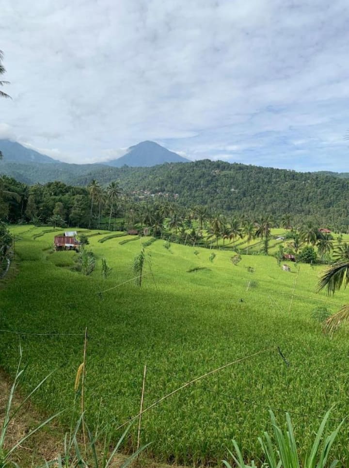 3brhouse With Private Pool Close To Munduk - Munduk