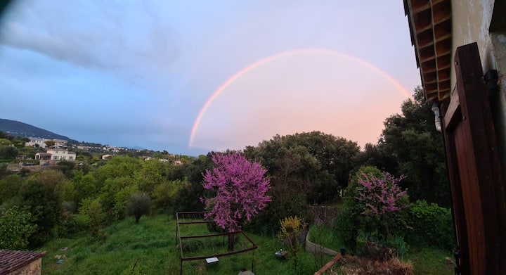 Joli Studio En Pleine Nature ! - Peymeinade