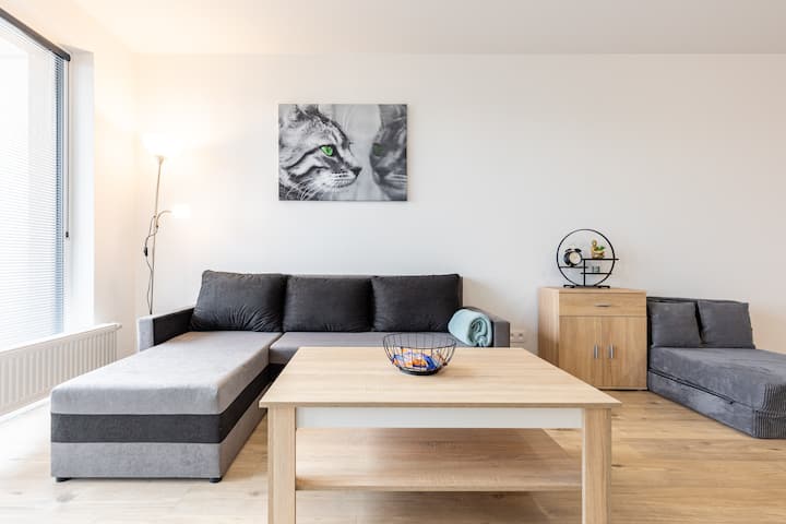 Flat 3 Sunny Haven : Moderny 2i, Garaz, Wifi - Bratysława