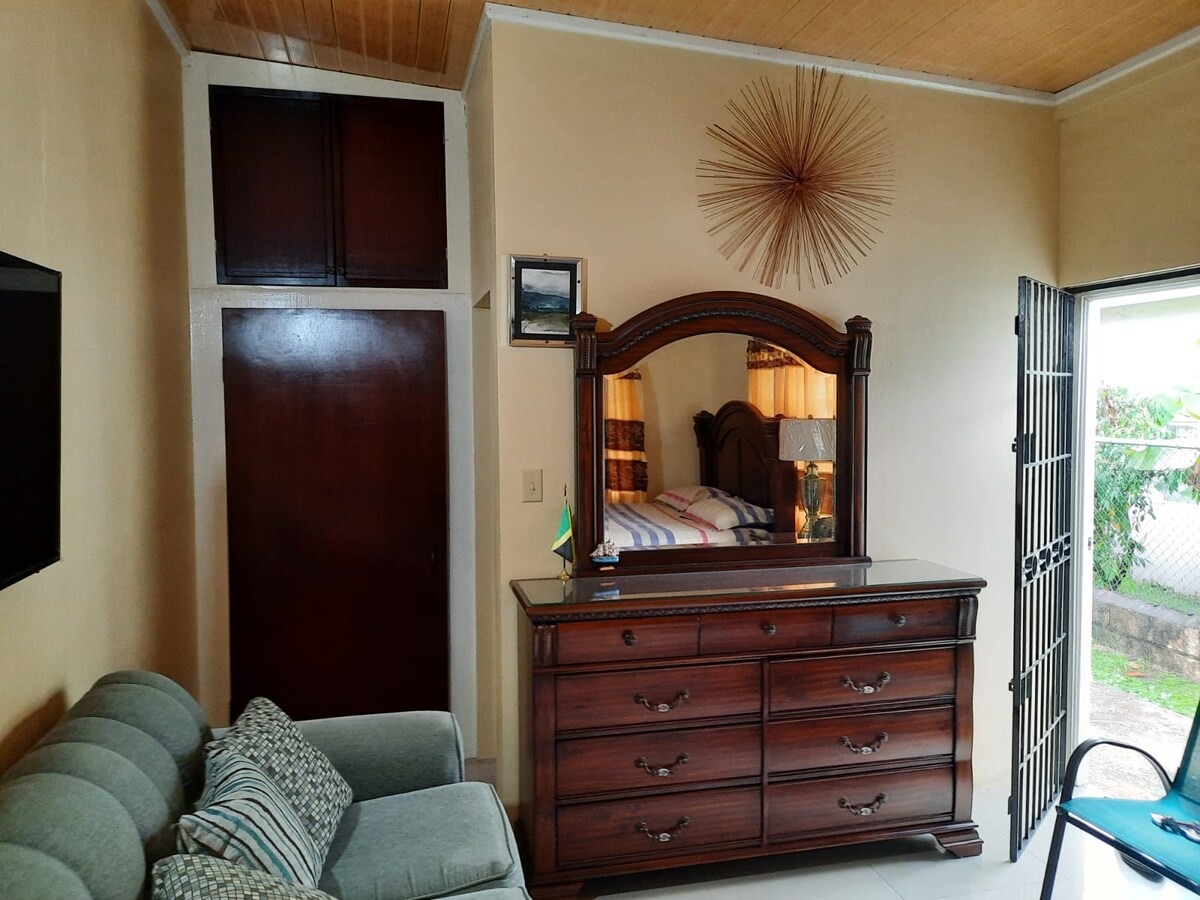 Terrasse avec vue sur les collines - Appartements à louer à Kingston ...