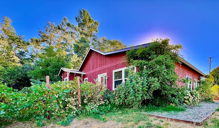 Farm Living Is The Life For Me! - Placerville, CA