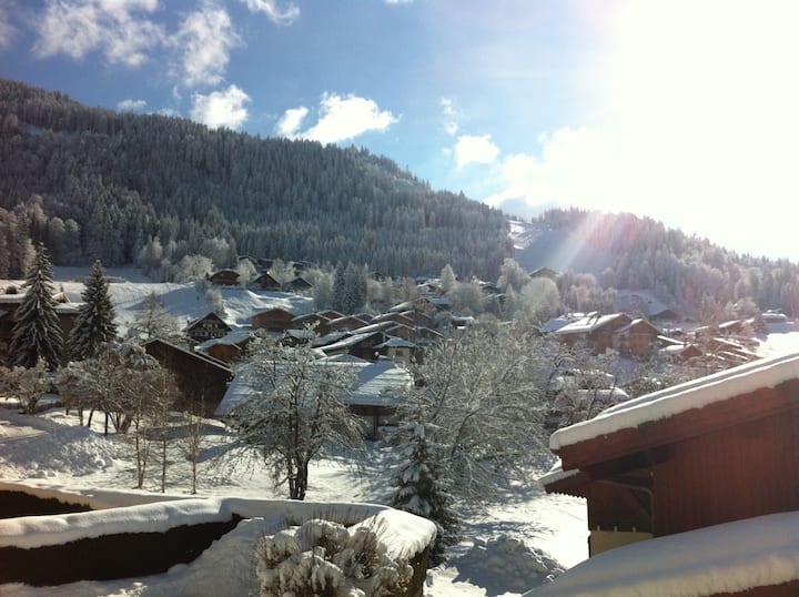 Appartement Calme Balcon Sud - Cluses
