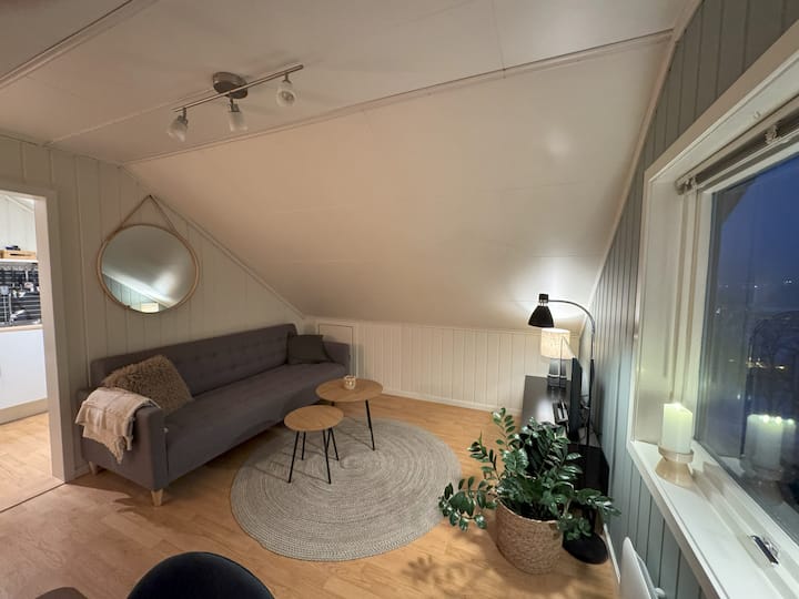 Koselig Loftsleilighet - Tromsø