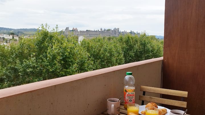 Vue Exceptionnelle Et Jacuzzi - Carcassonne