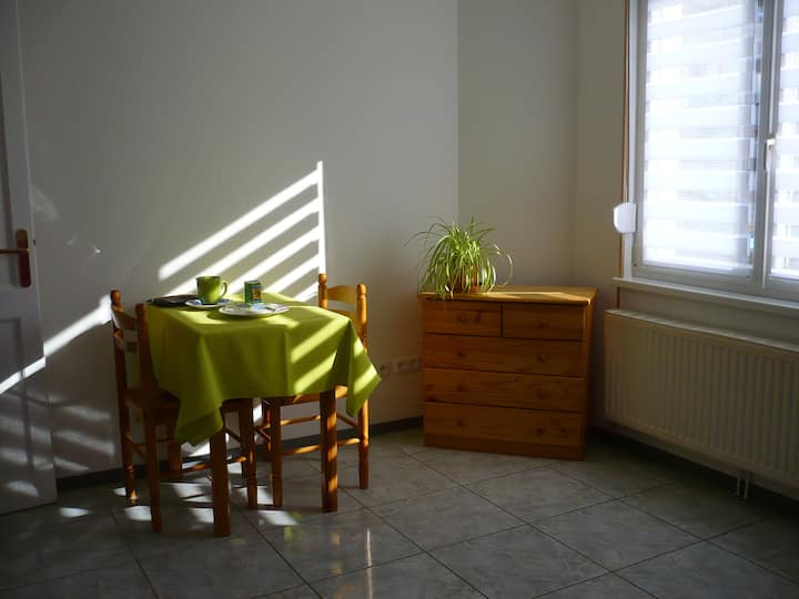 Beau Studio à Sarreguemines - Sarreguemines