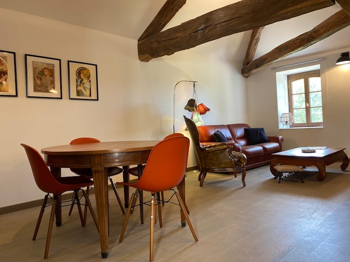 Château Frontonas : Appartement Syrah - Bourgoin-Jallieu