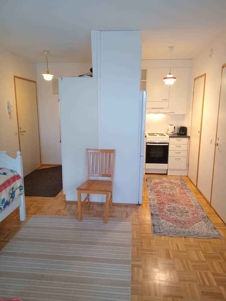 Huoneisto Keskustassa - Rovaniemi