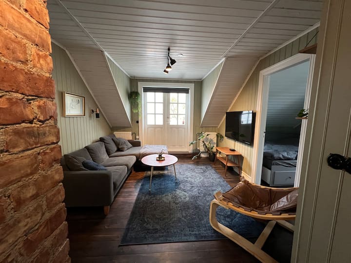 Cozy House In City Center - Reykjavík