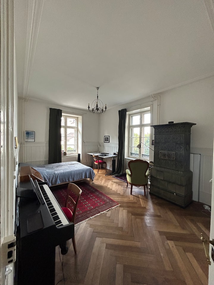 Zentrales Zimmer Esc 2025 - Basel