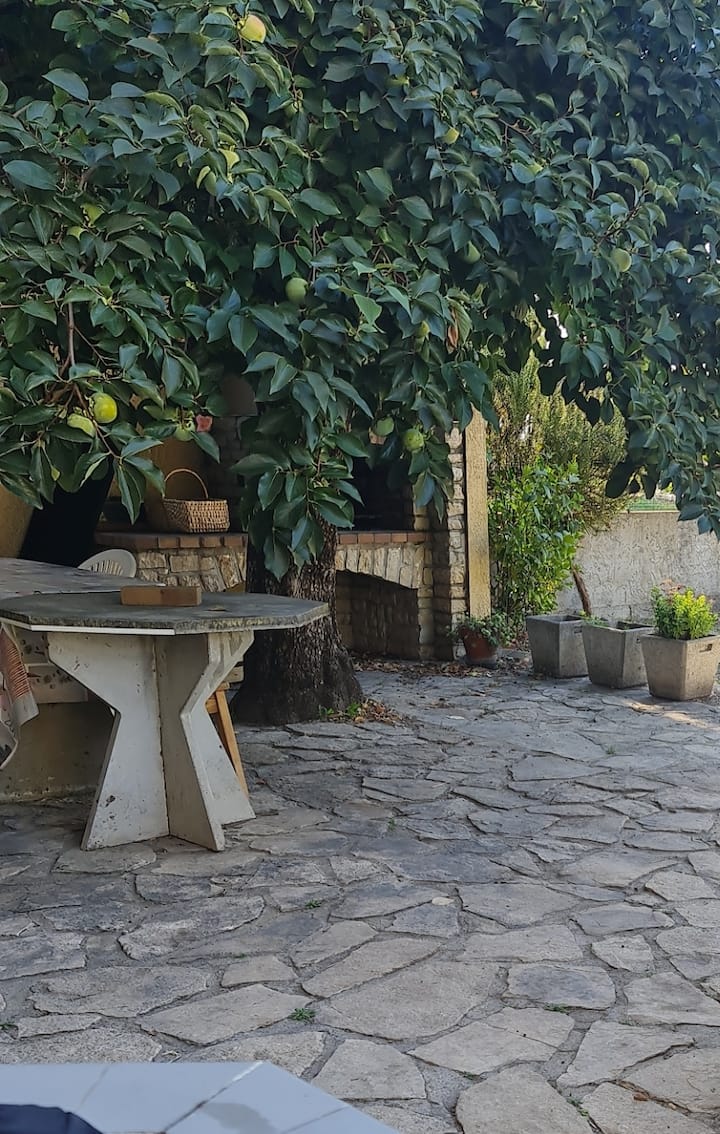 Chambre Individuelle (Animal Friendly) - Montélimar