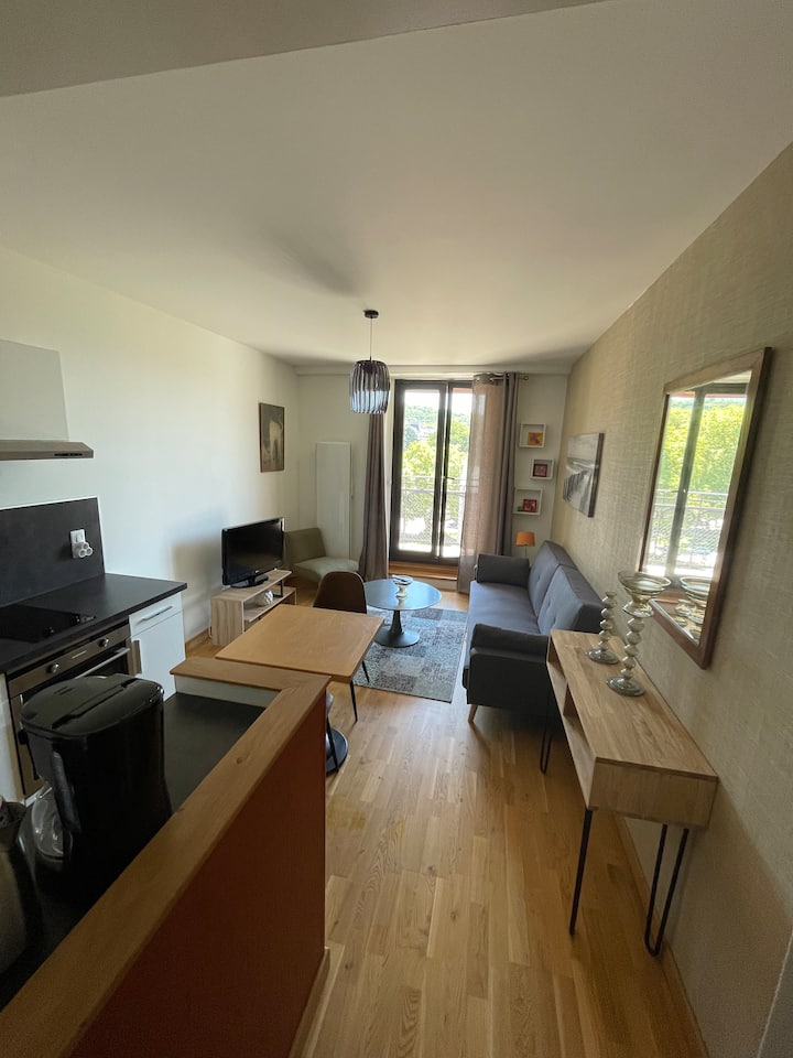 Appartement Le Yellow à L'astoria En Centre Ville - Aix-les-Bains