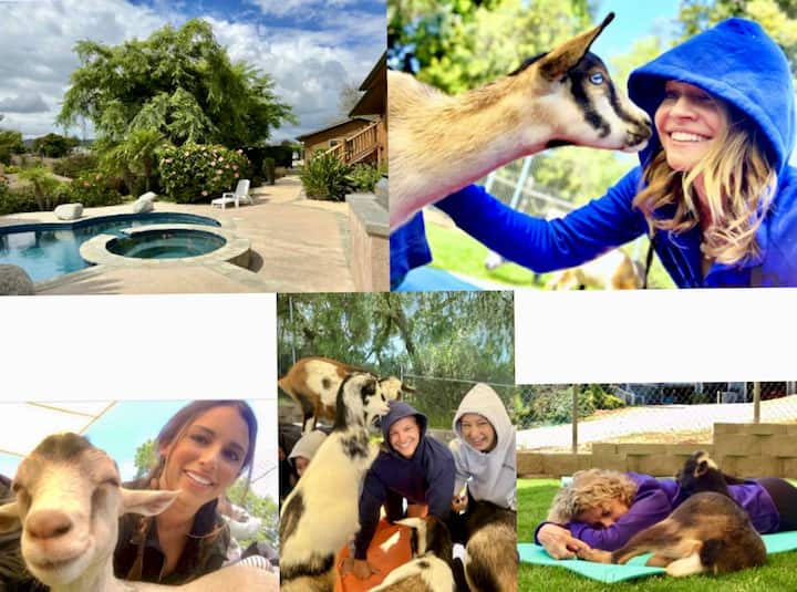 Goat Yoga & Healing Retreat! - Black Mountain Ranch - San Diego