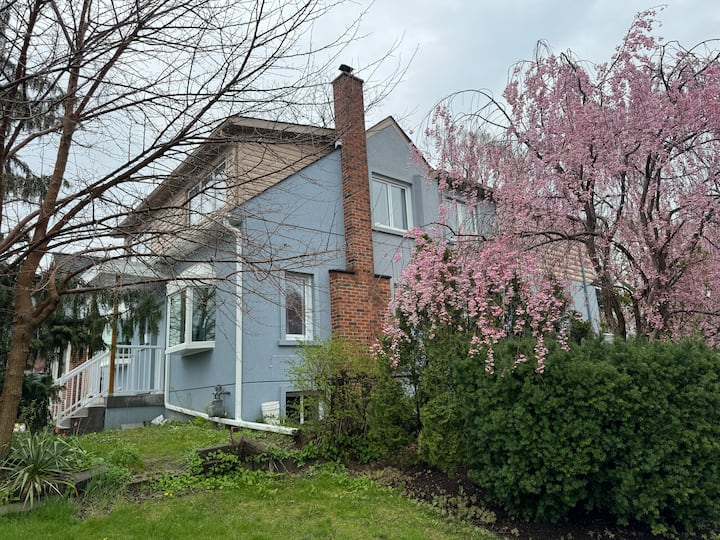 Family Home With Sauna And Hot Tub - Toronto, ON