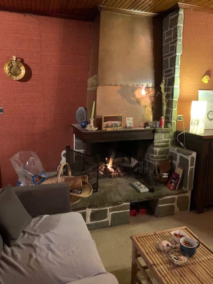 Appartement Dans Maison - Barbâtre