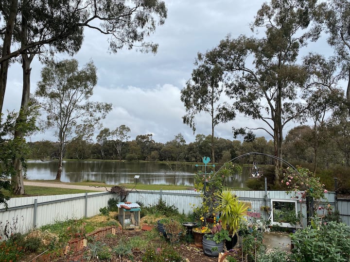 "Birdsong On Lake Tom Thumb" - Bendigo