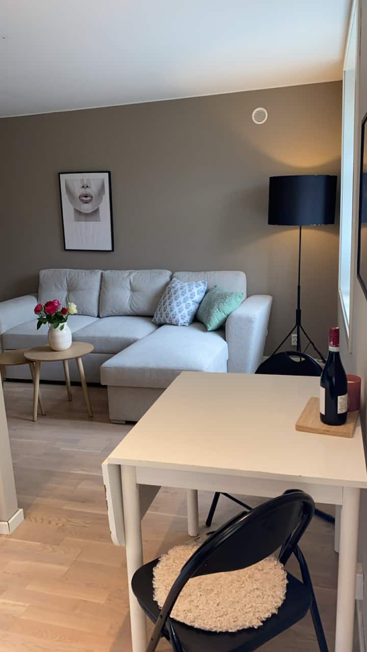 Supersøt Leilighet Midt I Bergen - Bergen