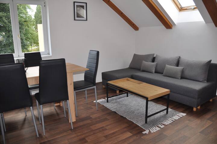 Stavební 334, Plesná - Bad Brambach