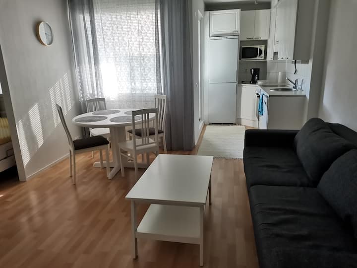 Viihtyisä Saunallinen Kaksio - Lahti