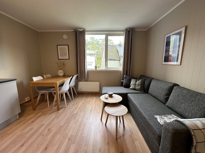 Roomy And Central City Apartment - Tromsø
