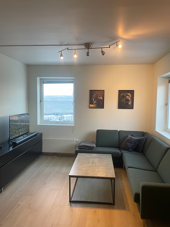 Toppleilighet I Trondheim Sentrum - Trondheim