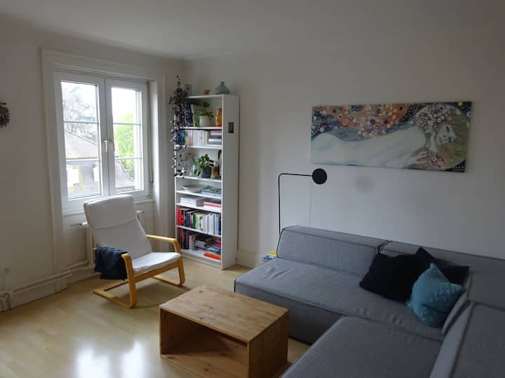 Ruhige Und Schöne Wohnung - Basel