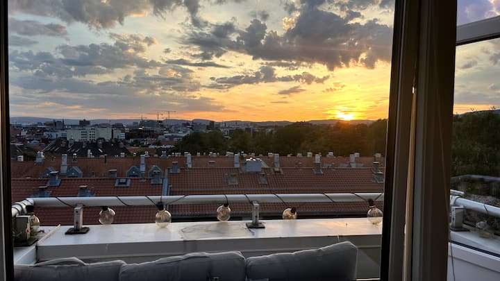 Sentral Og Romslig Leilighet - Oslo