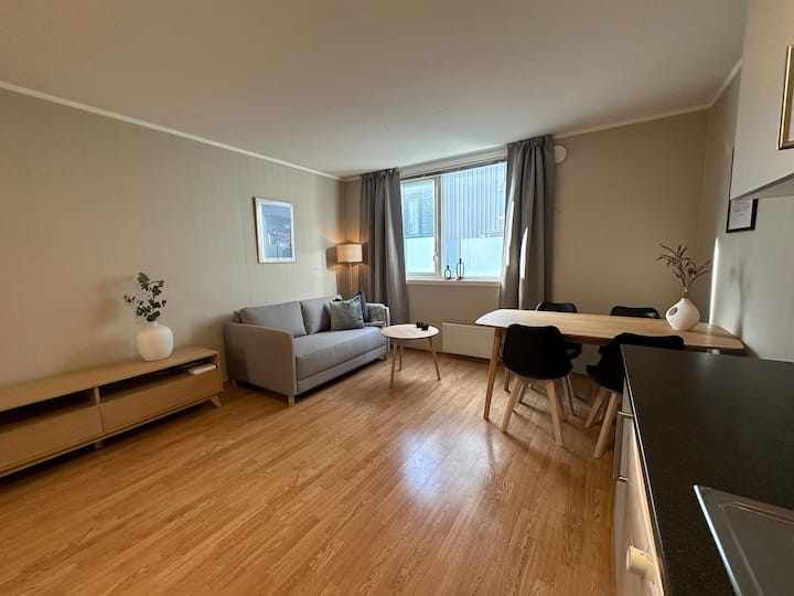 Elegant City Apartment - Tromsø