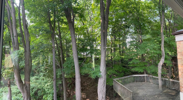 Muskoka In The City - Toronto