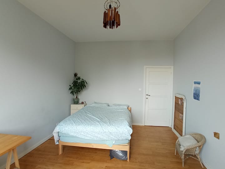 Chambre En Plein Coeur D'ixelles - Brussels