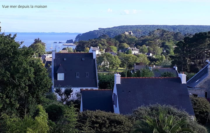 Maison Coteau Sud, Vue Mer - Crozon