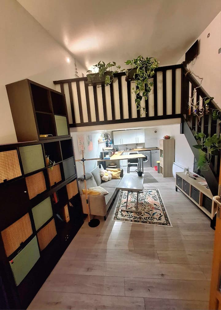 Appartement Cosy Et Bien Situé - Villeurbanne