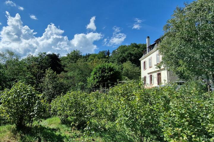 Studio 30m2 Avec 2 Terrasses - Eguisheim