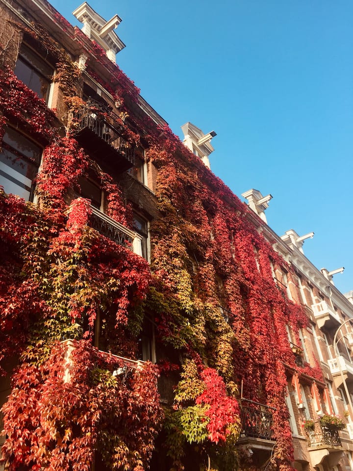 Fantastic Flat With Park View - Amsterdam