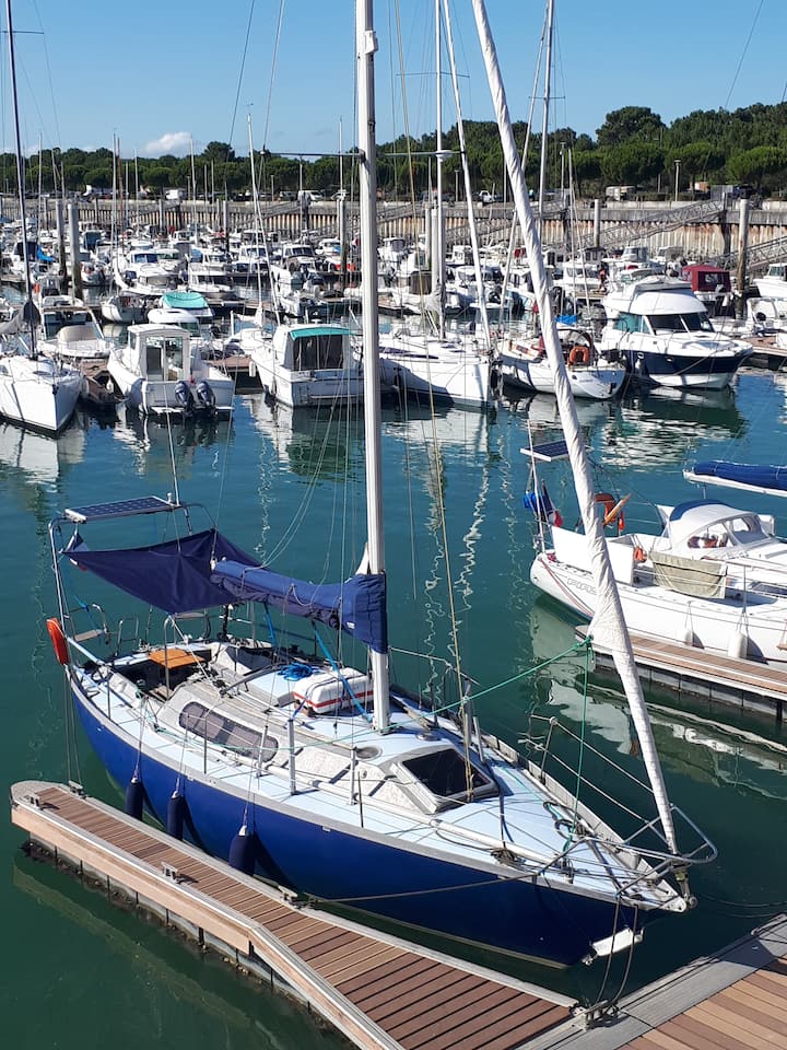 Voilier Terre Et Mer, Végétalisé - La Rochelle