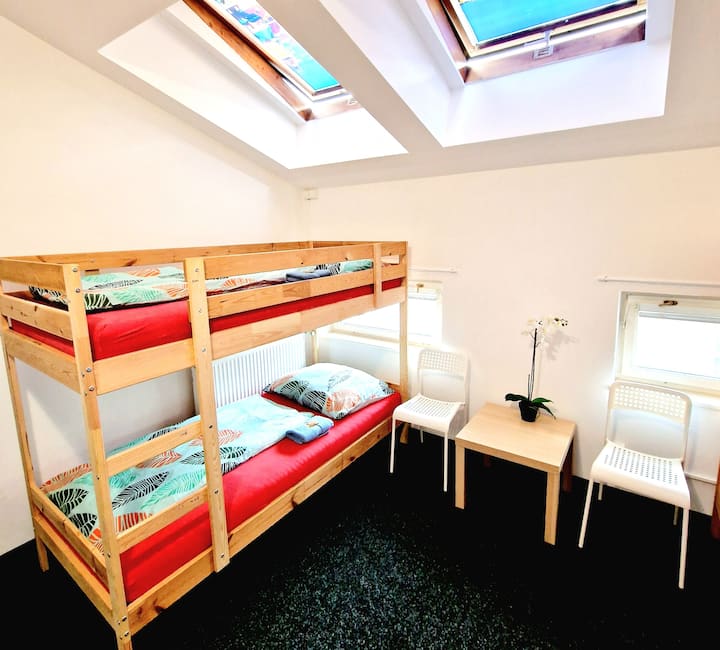 Nice Room For 4 Friends In The Heart Of Prague - Prague