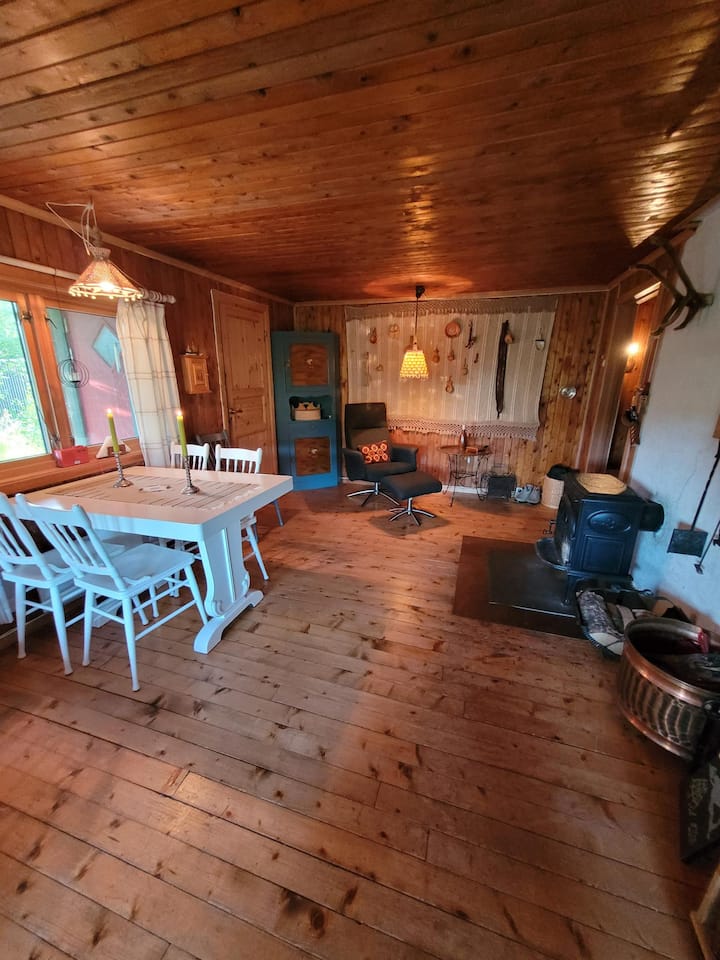 Coolcation Cabin, Fishing And Hunting Haven! - Alta