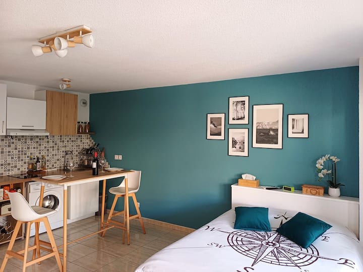 Studio Climatisé De 35 M² Avec Terrasse - ibis Styles Cannes Le Cannet