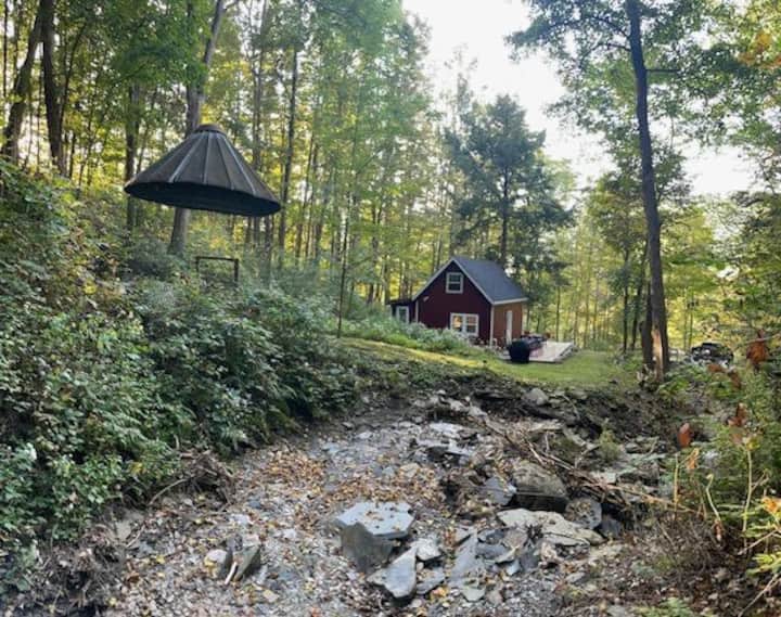 Little Red Cabin In The Woods - Naples, NY