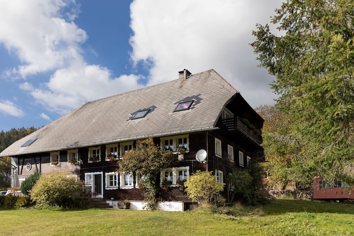Bauernhaus Schwarzwald Für 11p - Schluchsee