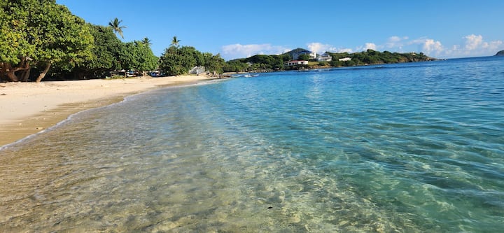 Steps To Sapphire Beach: 1br/2ba Near Red Hook - U.S. Virgin Islands