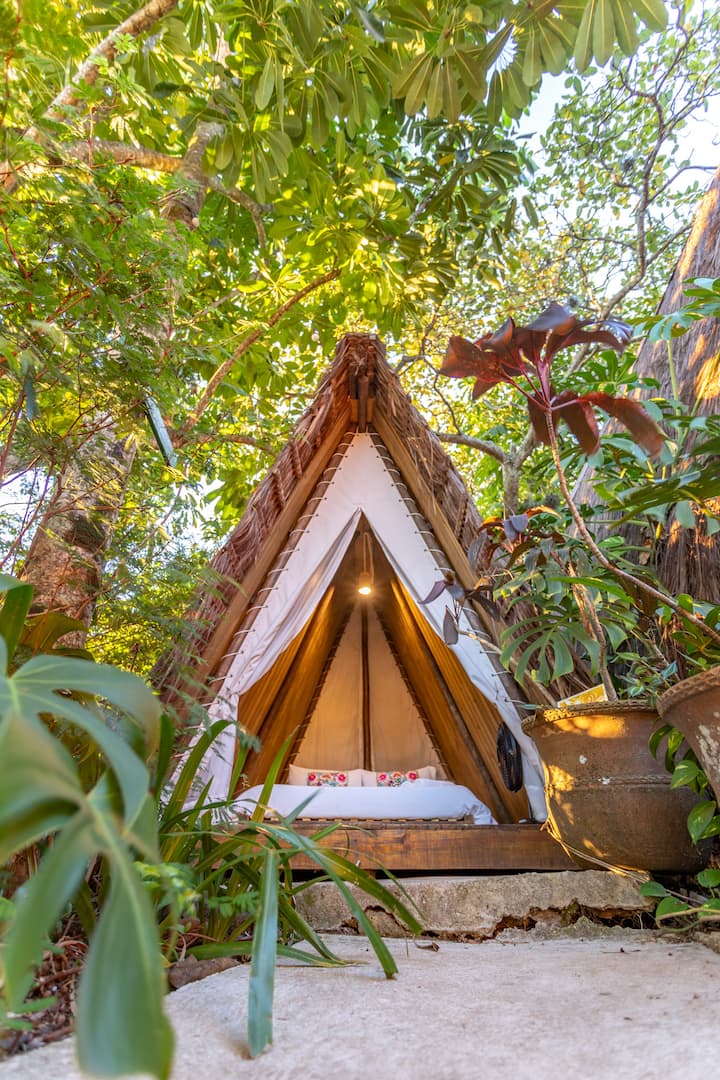 Tipi - Ilhabela
